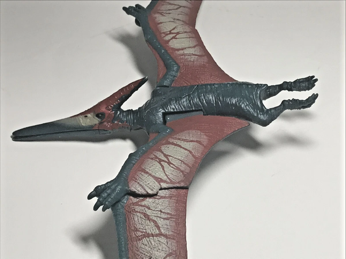 Pterodactyl Dinosaur Scale
