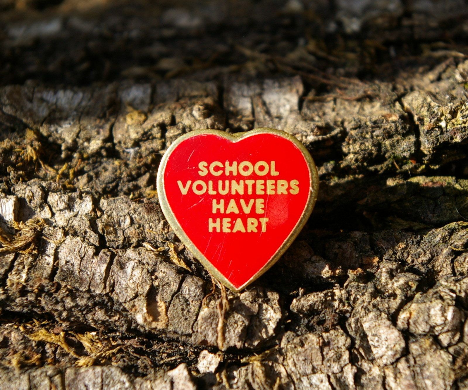 School Volunteers Gave Heart Red Sticker on Gold Tone Metal Pin Pinback ...