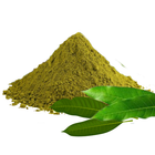 Dried Mango Leaf powder | Pure Natural Organic Leaves | Ayurveda Herbal ...