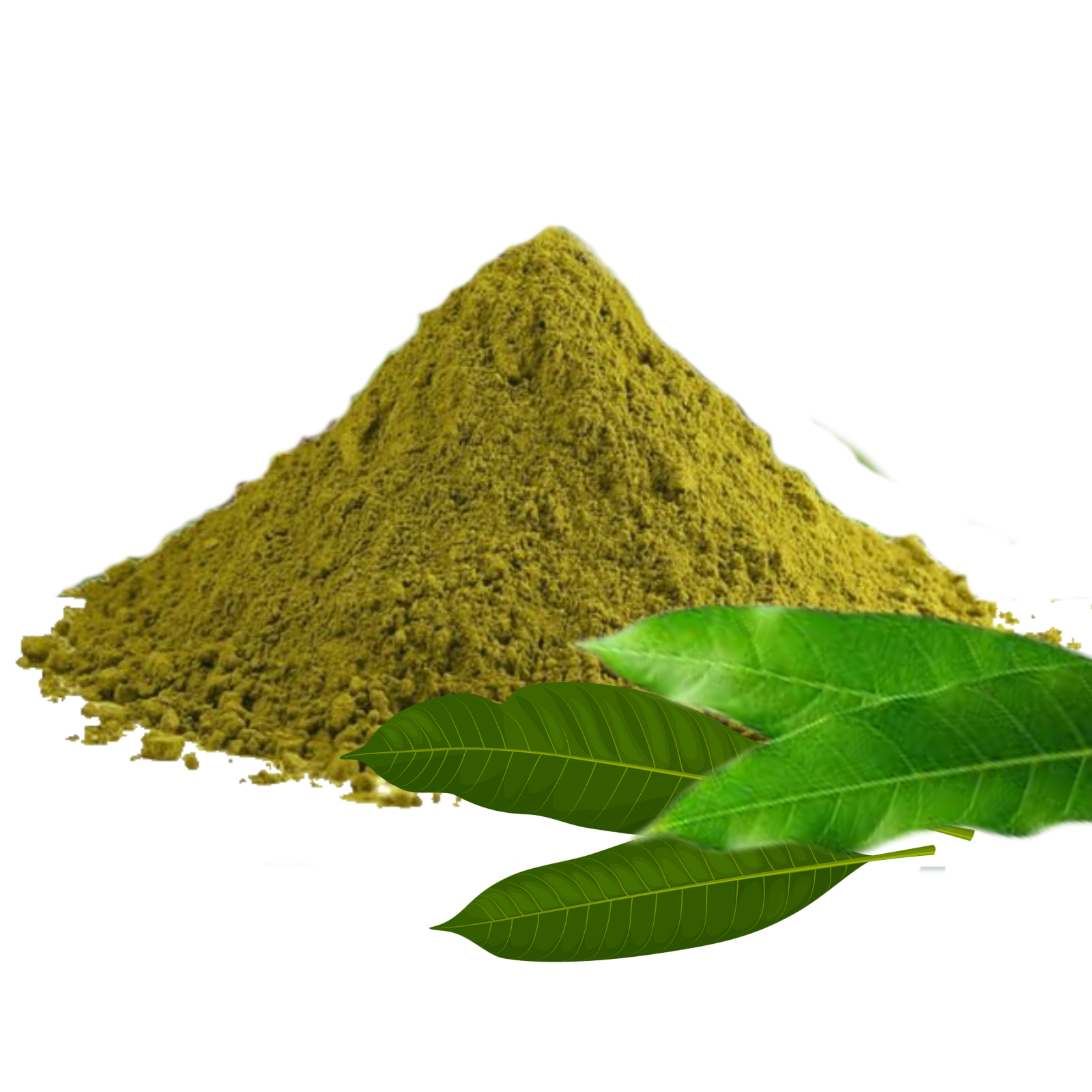 Dried Mango Leaf powder | Pure Natural Organic Leaves | Ayurveda Herbal ...
