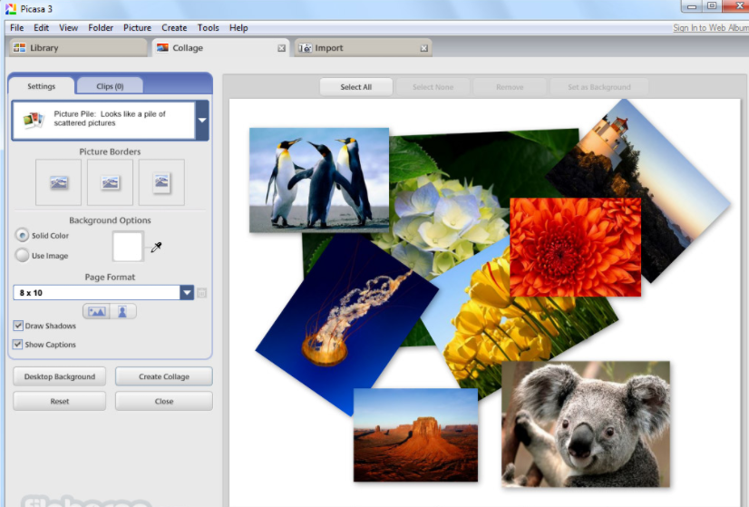 Picasa 3.9 Photo Management Picture Album Manager Software Windows Mac ...