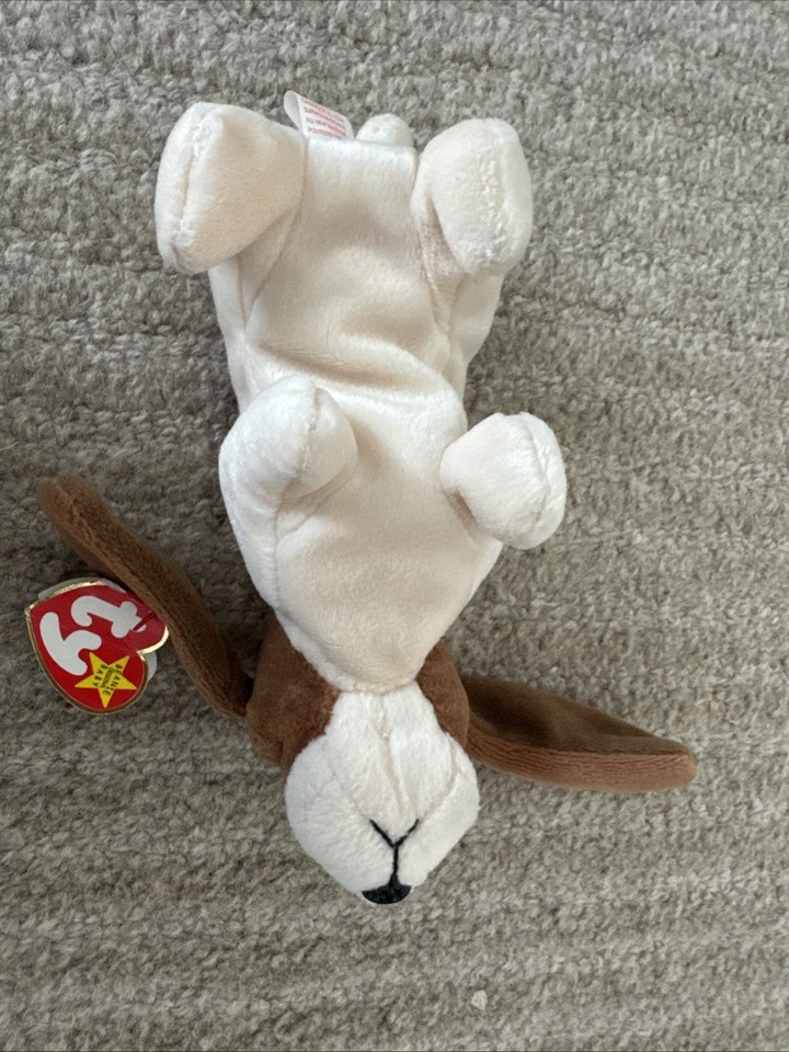 TY Beanie Baby Tracker Basset Hound Dog June 5, 1997 Plush Stuffed ...