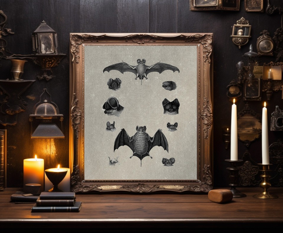 Gothic Wall Decor 6 (8x10) Bat Prints Whimsigothic Goth Gifts Pagan ...