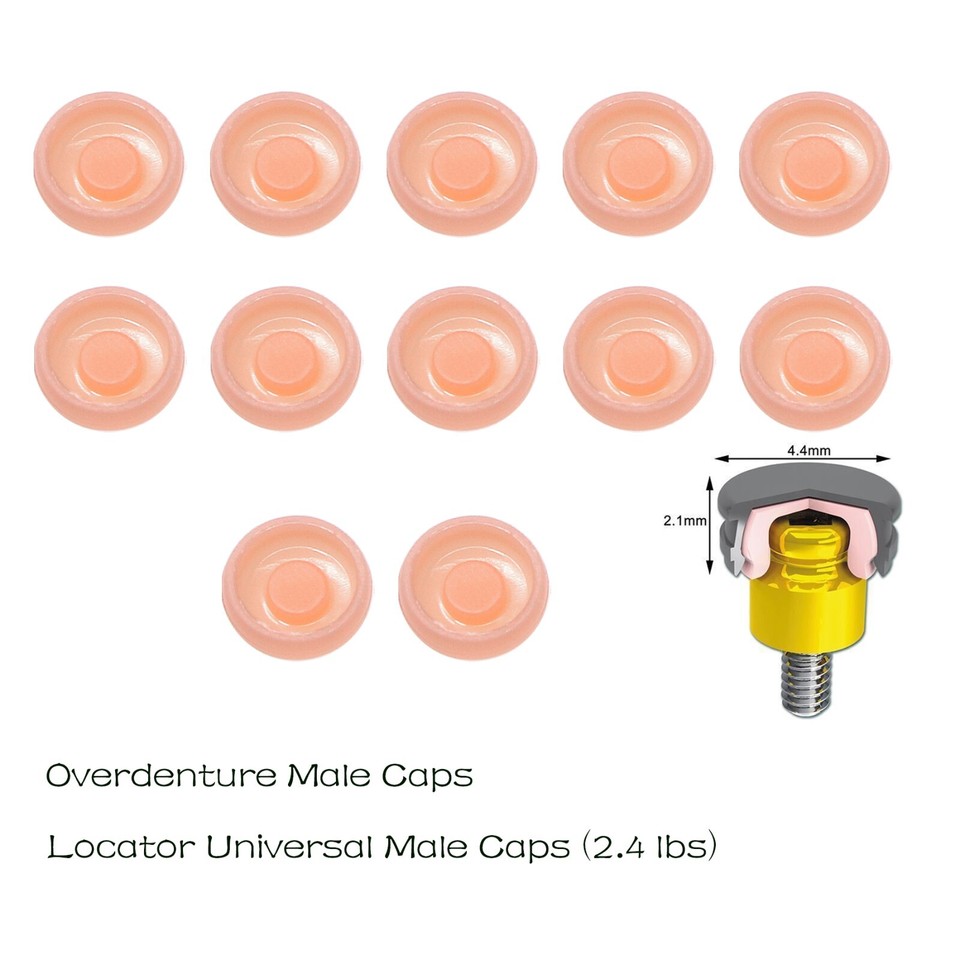 US Dental Overdenture Abutment Retention Cap Locator male processing ...