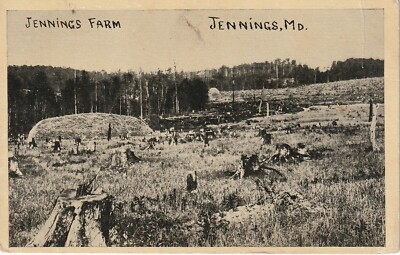 Jennings MD Jennings Farm Tree Stumps on Land Being Cleared | eBay