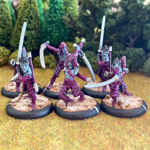 Blighted Swordsmen 6 Painted Miniatures Legion of Everblight Hordes | eBay