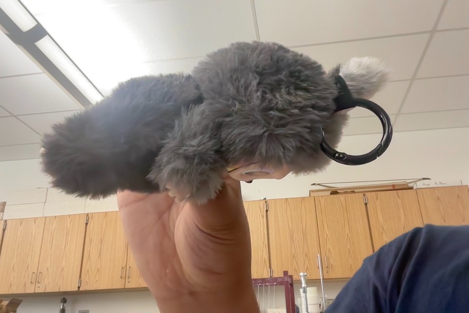 RARE LABUBU GREY SECRET | eBay