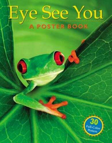 Eye See You: A Poster Book by Deborah L Balmuth: New 9781580178488| eBay
