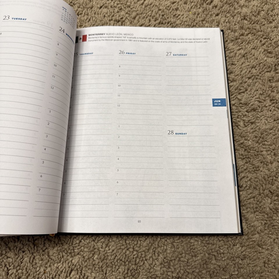 AMEX AMERICAN EXPRESS EXECUTIVE LEATHER APPOINTMENT BOOK & POCKET ...