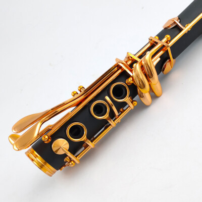 Bb Clarinet Lacquered Gold 17 Keys Sib Klarnet Black Clarinet | eBay