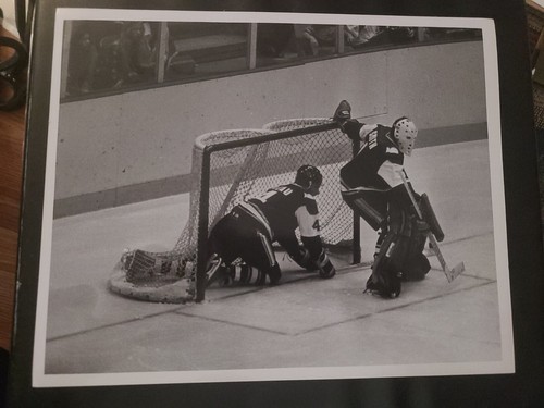 1977-78 AL SMITH WHA HOCKEY GOALIE MASK PHOTO NEW ENGLAND WHALERS NHL ...