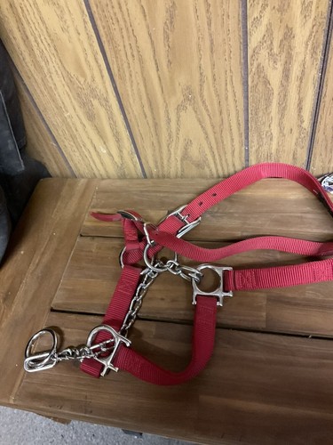 Weaver Halter (size small) With Chain | eBay