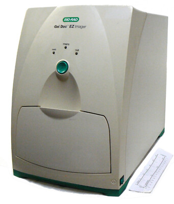 Bio-Rad Gel Doc EZ Imager (735BR) with Image Lab SW (no trays ...