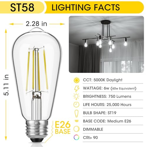 LED Edison Bulbs, 60W Equivalent ST19, Efficient 6W LED, E26 Medium ...