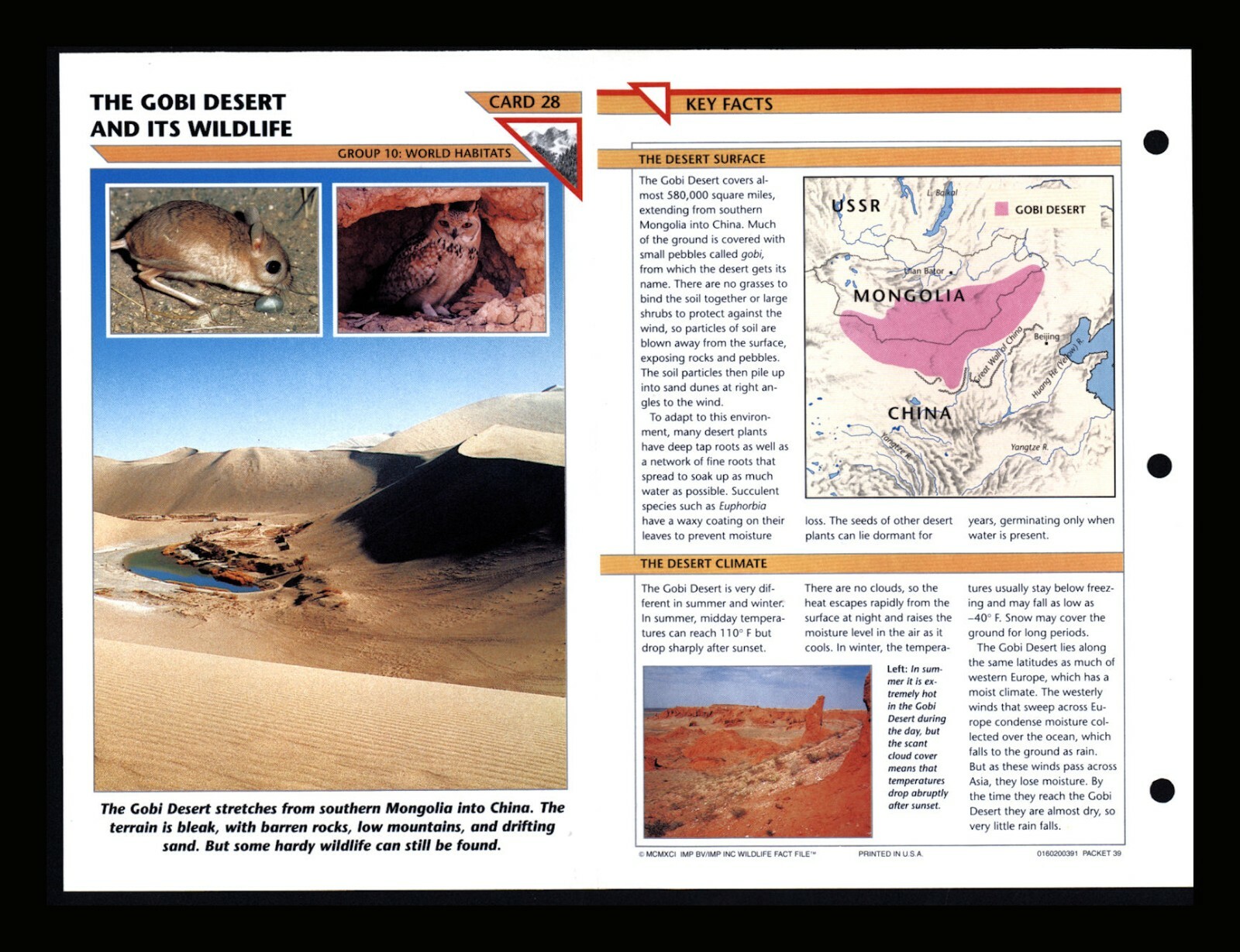 Gobi Desert & Its Wildlife Fact File Card World Habitats Home School 10 ...
