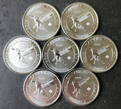 Lot of Seven 2020 Canada $2 1/2oz Silver Red-Tailed Hawk Coins | eBay
