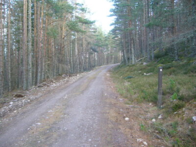 Photo 6x4 Forest road on Ben Aigan Rothes Used by the Speyside Way ...