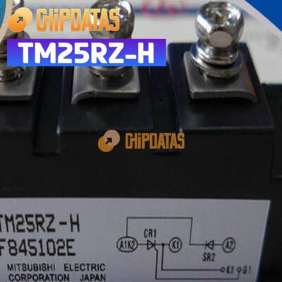 1PCS NEW TM25RZ-H MITSUBISHI MODULE TM25RZH Best Quality Assurance # ...