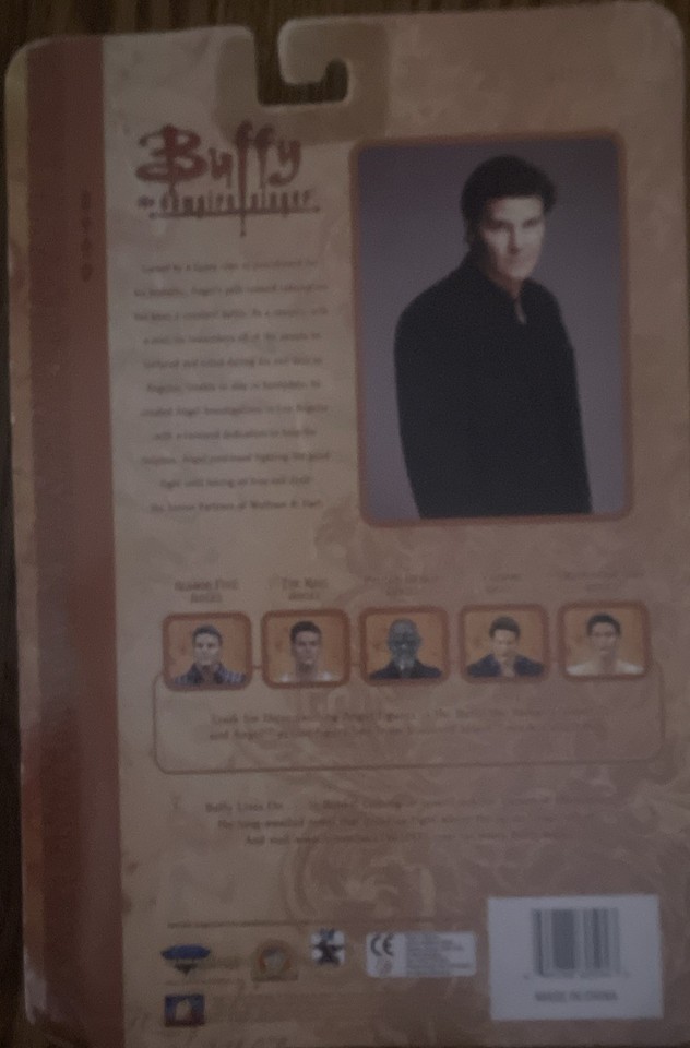 Buffy the Vampire Slayer Angel “Graduation Day” Suncoast Diamond Toys ...