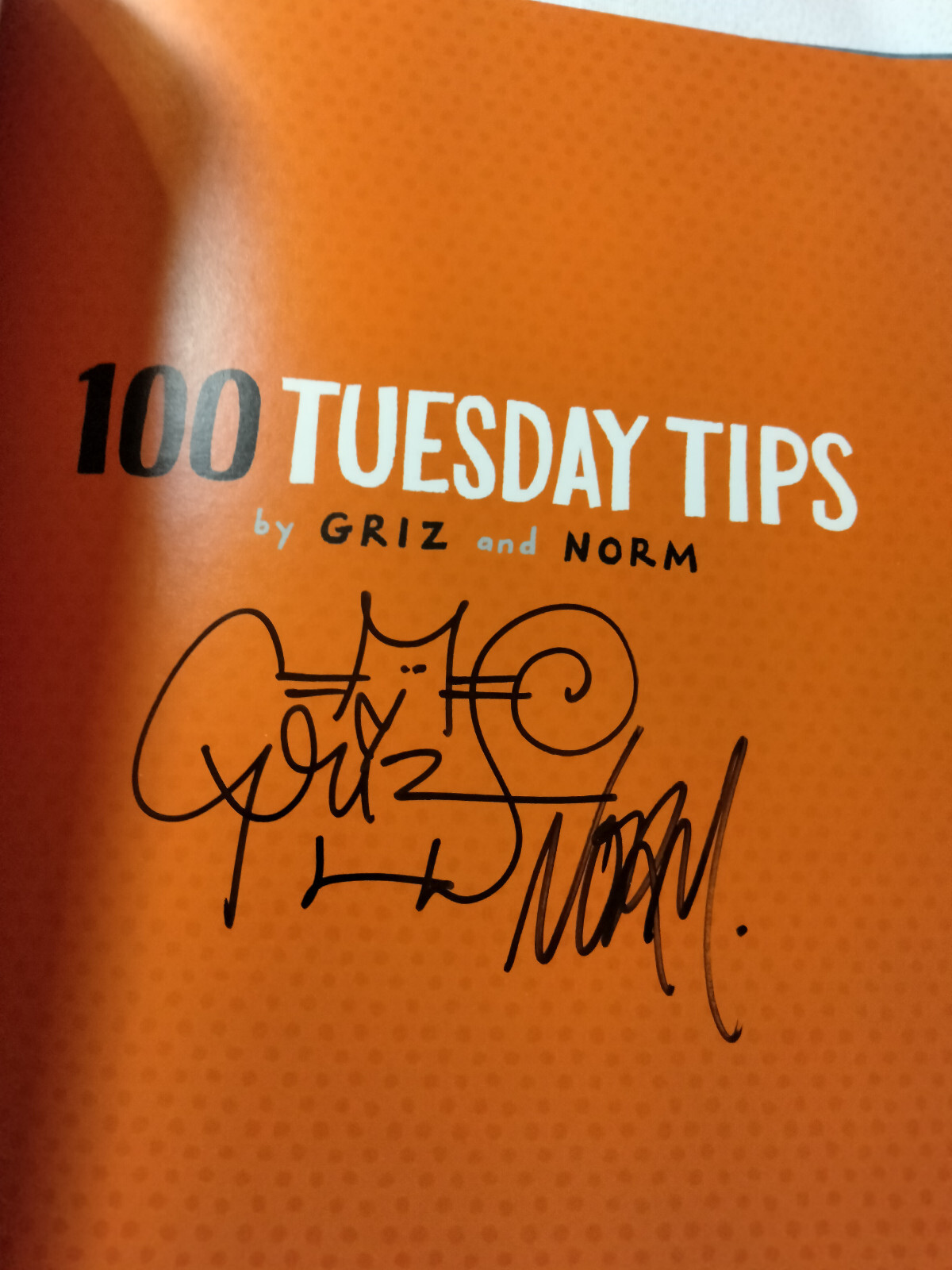 100 Tuesday Tips : By Griz and Norm (2015, Trade Paperback) for sale ...