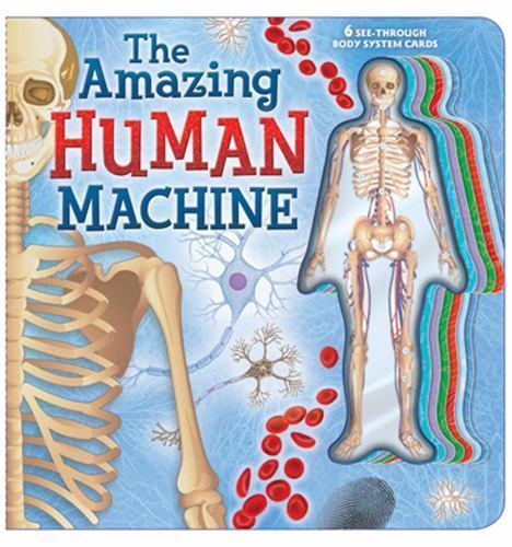 Amazing Human Machine : Book with Acetate Body System Cards by Lori C ...