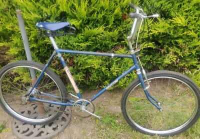 Raleigh Madison Rare South African Bomber Custom Version ATB Cruiser ...