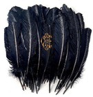 David Eugene Edwards - Hyacinth [Used Very Good Vinyl LP] Digital ...