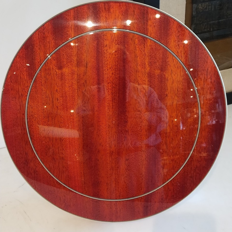 Recording King RK-R20 Songster Resonator 5 String Banjo Bluegrass ...