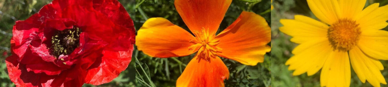 LoMarin Goods | eBay Stores