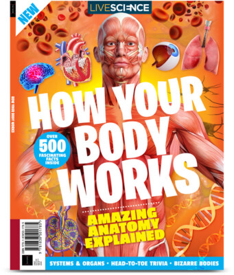 HOW YOUR BODY WORKS Magazine Issue 01 2019 Amazing Anatomy Explained ...