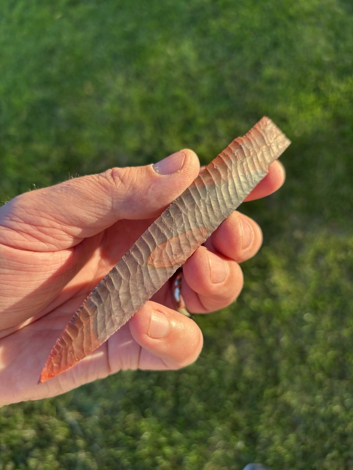 Eden Arrow Head Traditional Razor Sharp Spear Point Jasper Hand Made ...