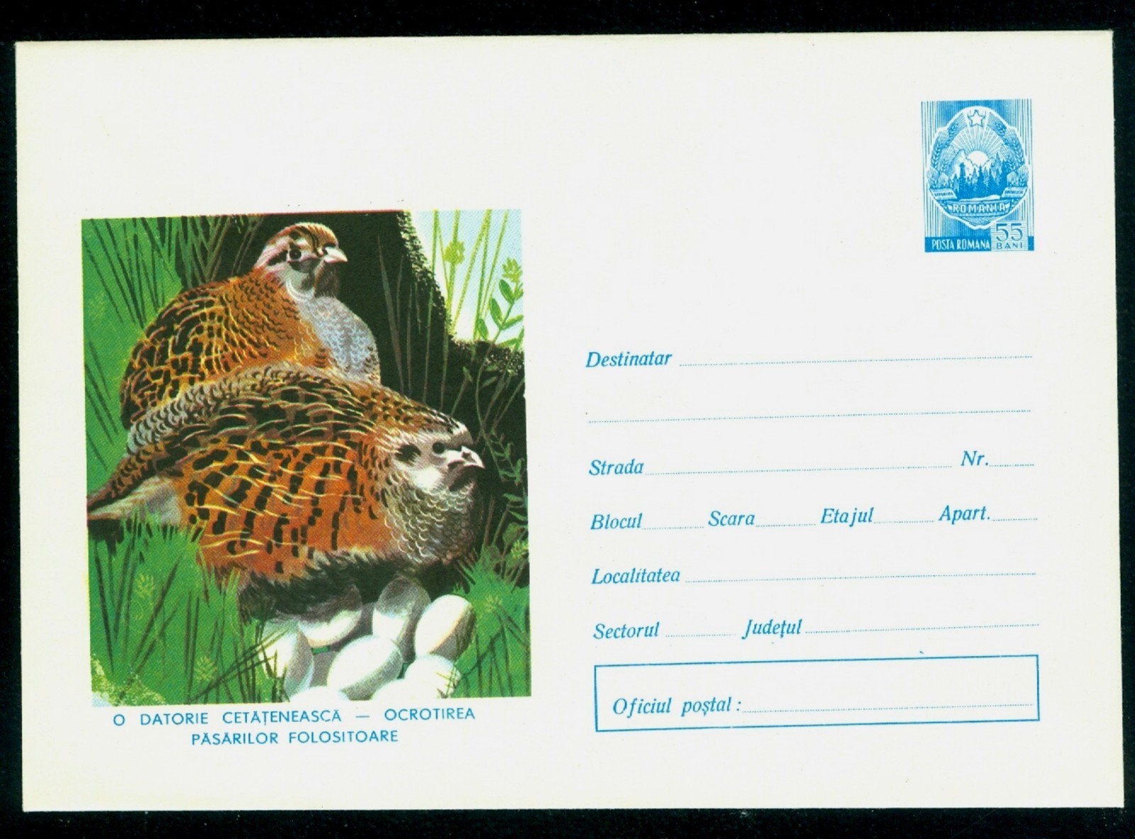 1973 European quail/Coturnix coturnix,Eggs,Field hunting Birds,,Romania ...