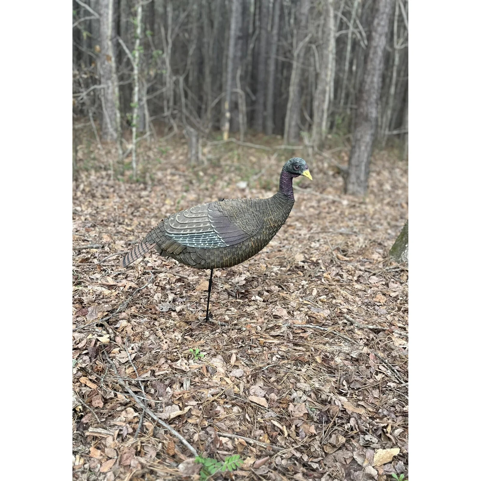 Turkey Hunting Decoy Mossy Oak OBSESSION BOSS HEN nwtf Dominant Posture ...