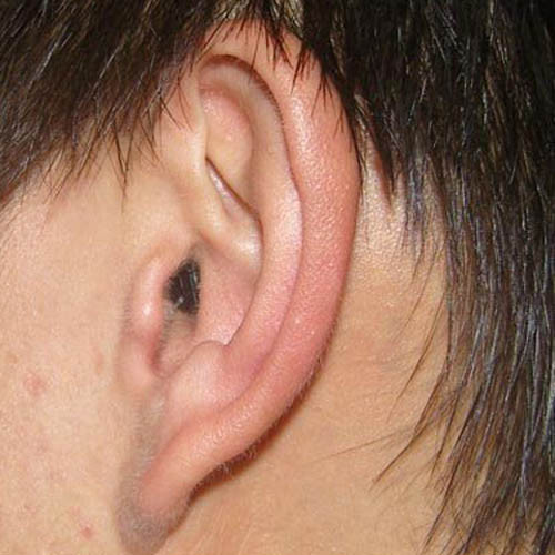 Invisible Hidden Wireless Secret Bug Spy Ear Earphone Earpiece for ...