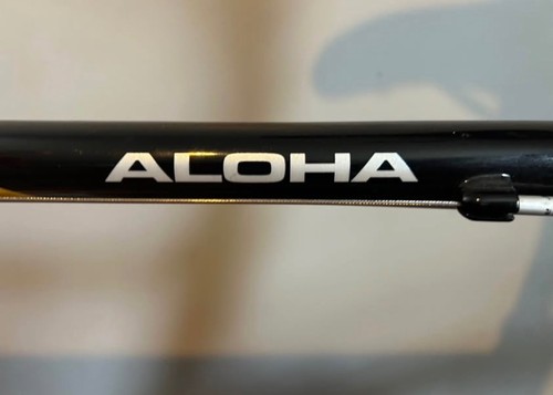 Fuji Aloha Triathlon Bicycle 54CM | eBay
