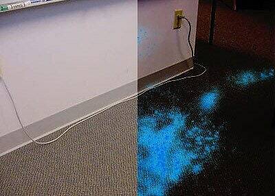 Luminol blood trace detection kit (chemiluminescence) forensics & spray ...
