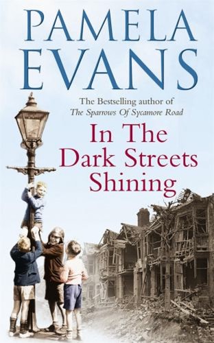 Dans Les Rues Sombres Brillant Livre De Poche Pamela Evans ...