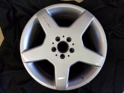 Wheel 163 Type ML55 18x9 5 Spoke Amg Fits 00-03 MERCEDES ML-CLASS 3828 ...