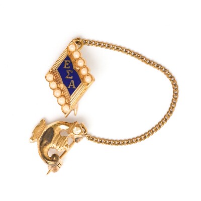Vintage Gold Filled Epsilon Sigma Alpha Sorority Membership Lapel Pin ...