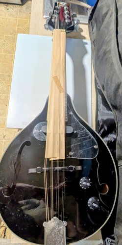 Acoustic/electric Mandolin with F-Holes and Adjustable Bridge | eBay