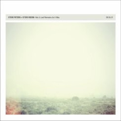 Steve Roden - Not a Leaf Remains As It Was [New CD] 881626949023| eBay