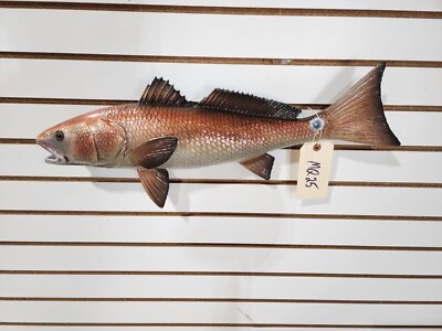 Beautiful Reproduction Redfish Taxidermy Wall Mount Art Wildlife | eBay