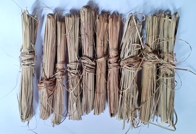 Pure indian Dharba Grass puja Grass Kusha used For Pooja 5 small ...