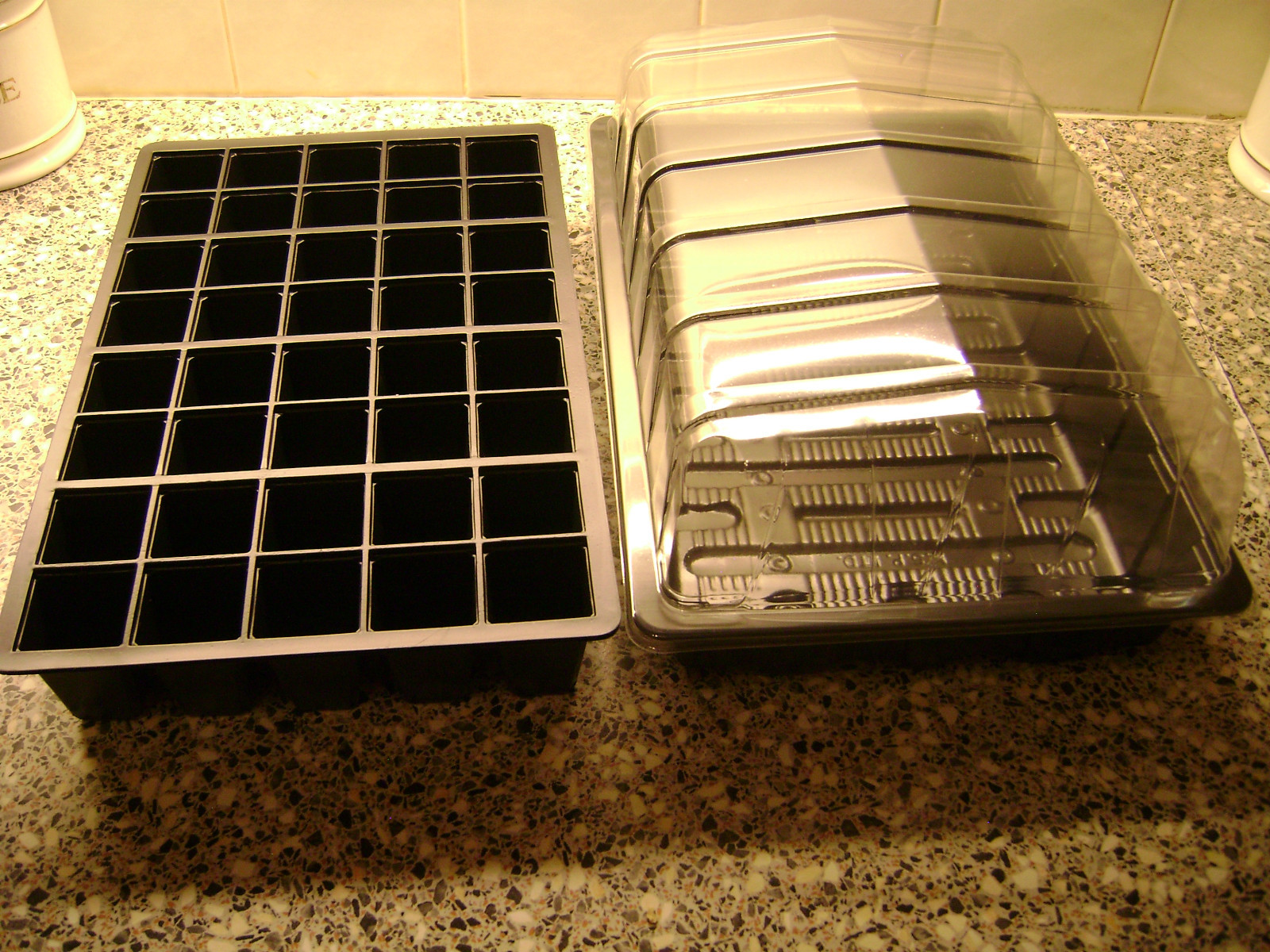 2 TO 50 FULL SIZE SEED TRAYS WITH OR WITHOUT HOLES+ PROP TOPS + 40 CELL ...