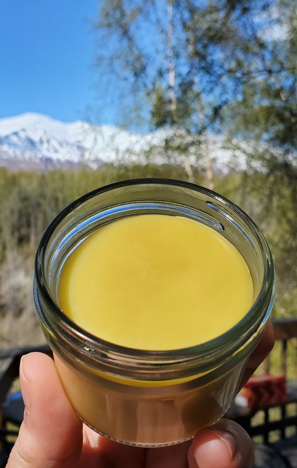 Alaska Devil's Club Salve 4oz | eBay