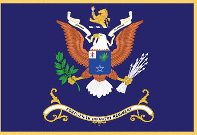 Rectangle Flags - 45th IR - STRONG TO ENDURE - Flag w Fringe x 300 | eBay