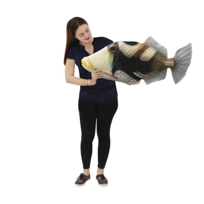 Tropical Fish Statue - Sea Decor - Triggerfish Tropical Fish Statue ...