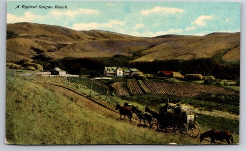 A Typical Oregon Ranch Horse Wagon Farm c1910 Postcard | eBay