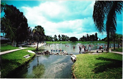 Warm Mineral Springs Venice Florida Postcard 1950s Roadside Attraction ...