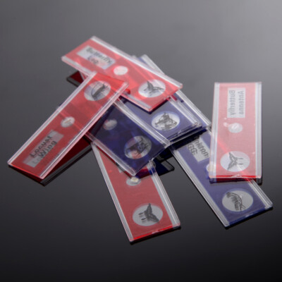 12pcs Animals Insects Specimen Sample Specimens for Kids Science ...